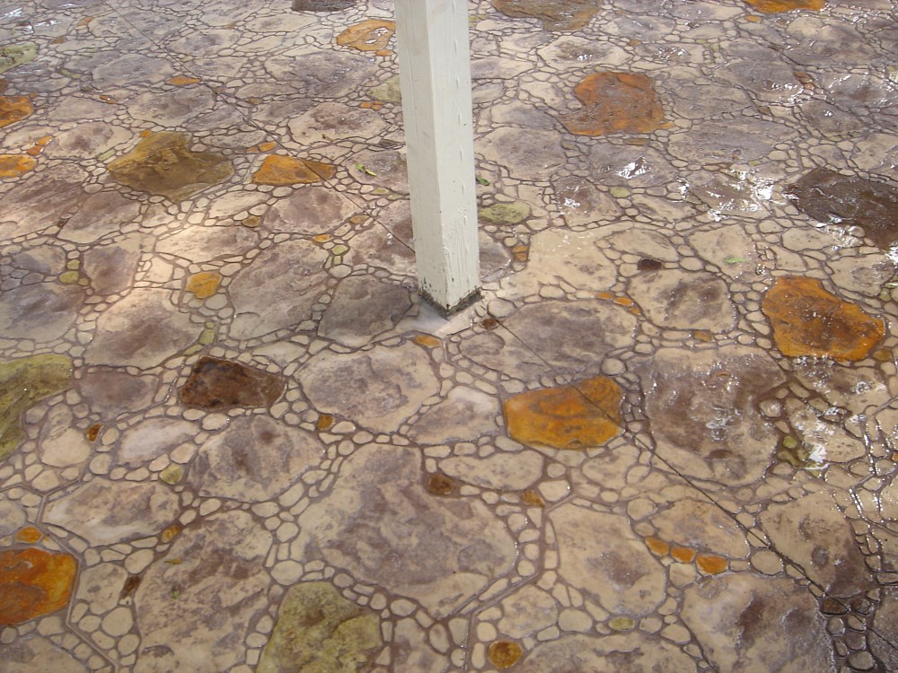 Acid Staining Concrete, Tampa, Land O Lakes, Wesley Chapel, FL